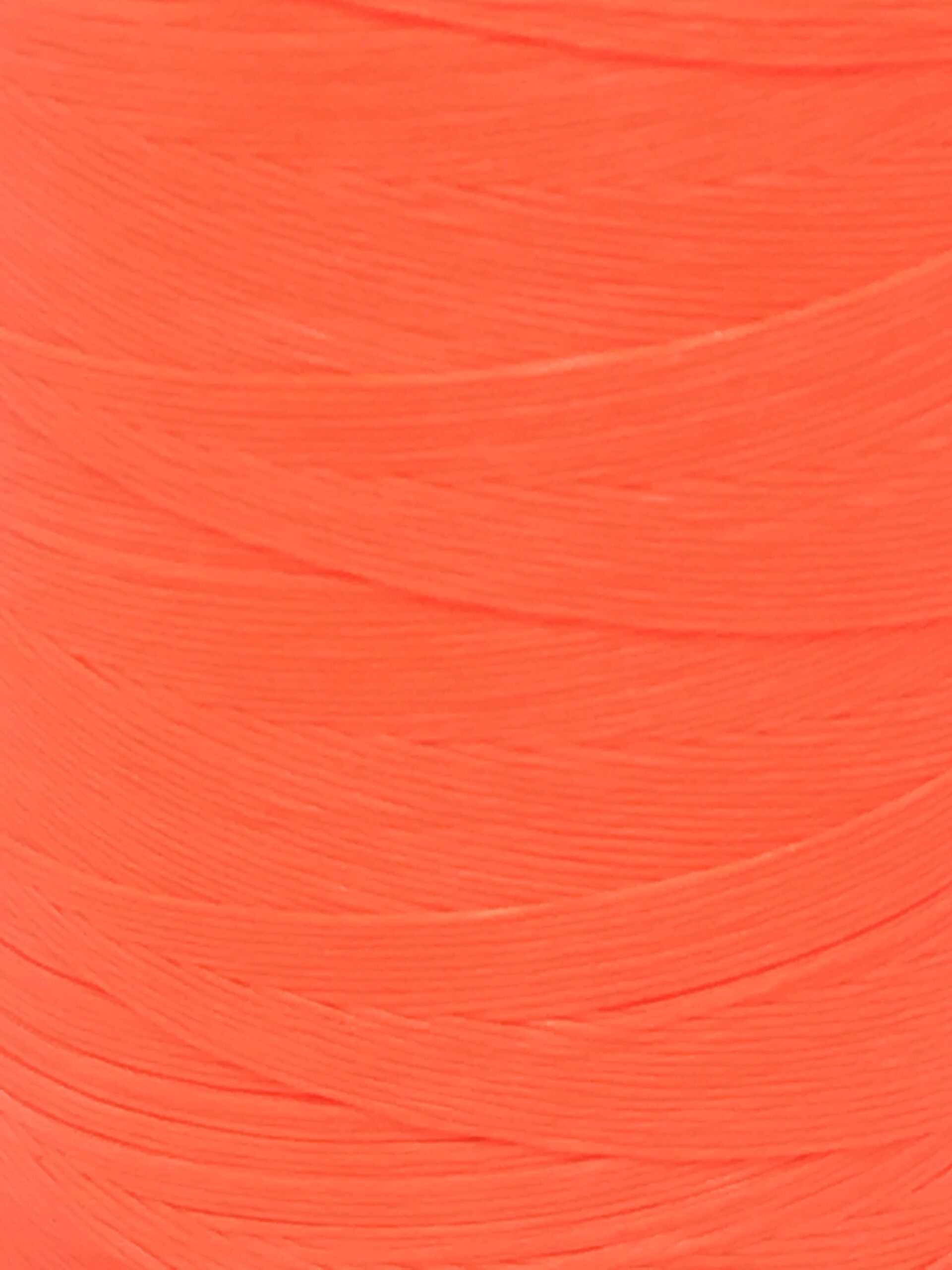 BCY #23 loop rope - Reign Bowstrings