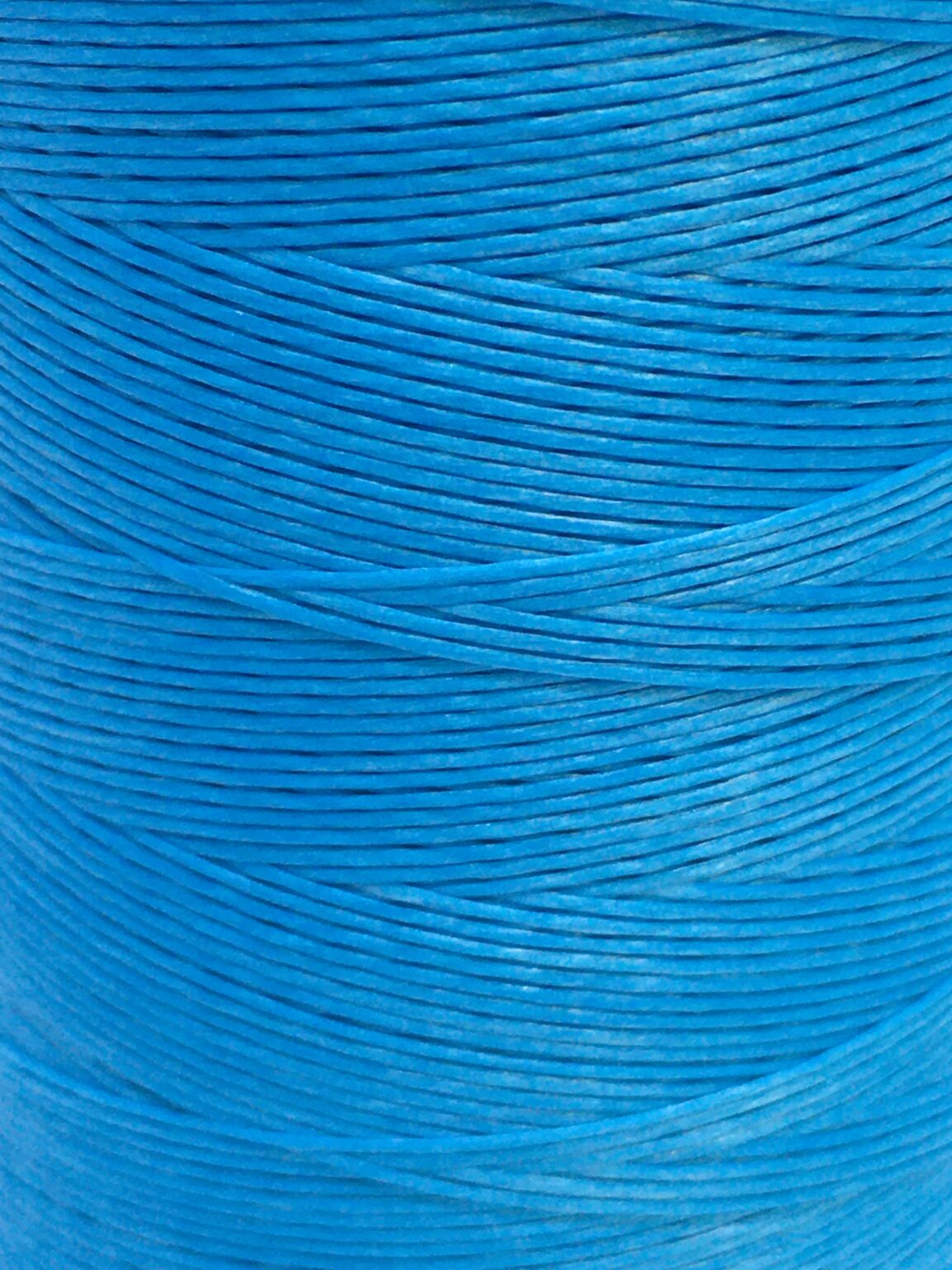 Supreme Edition Bloodline Glory Pro - Reign Bowstrings