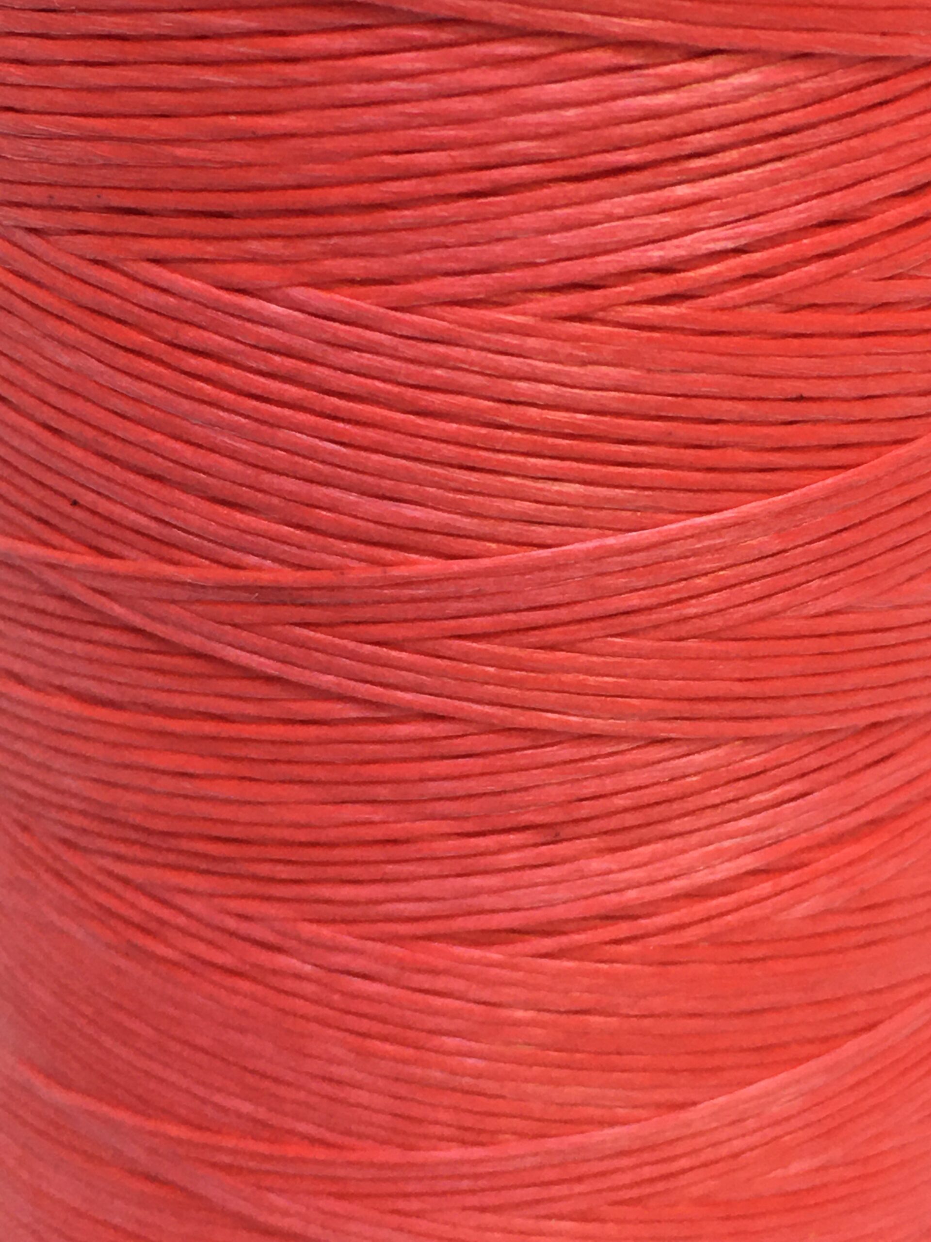 Supreme Edition Bloodline Glory Pro - Reign Bowstrings