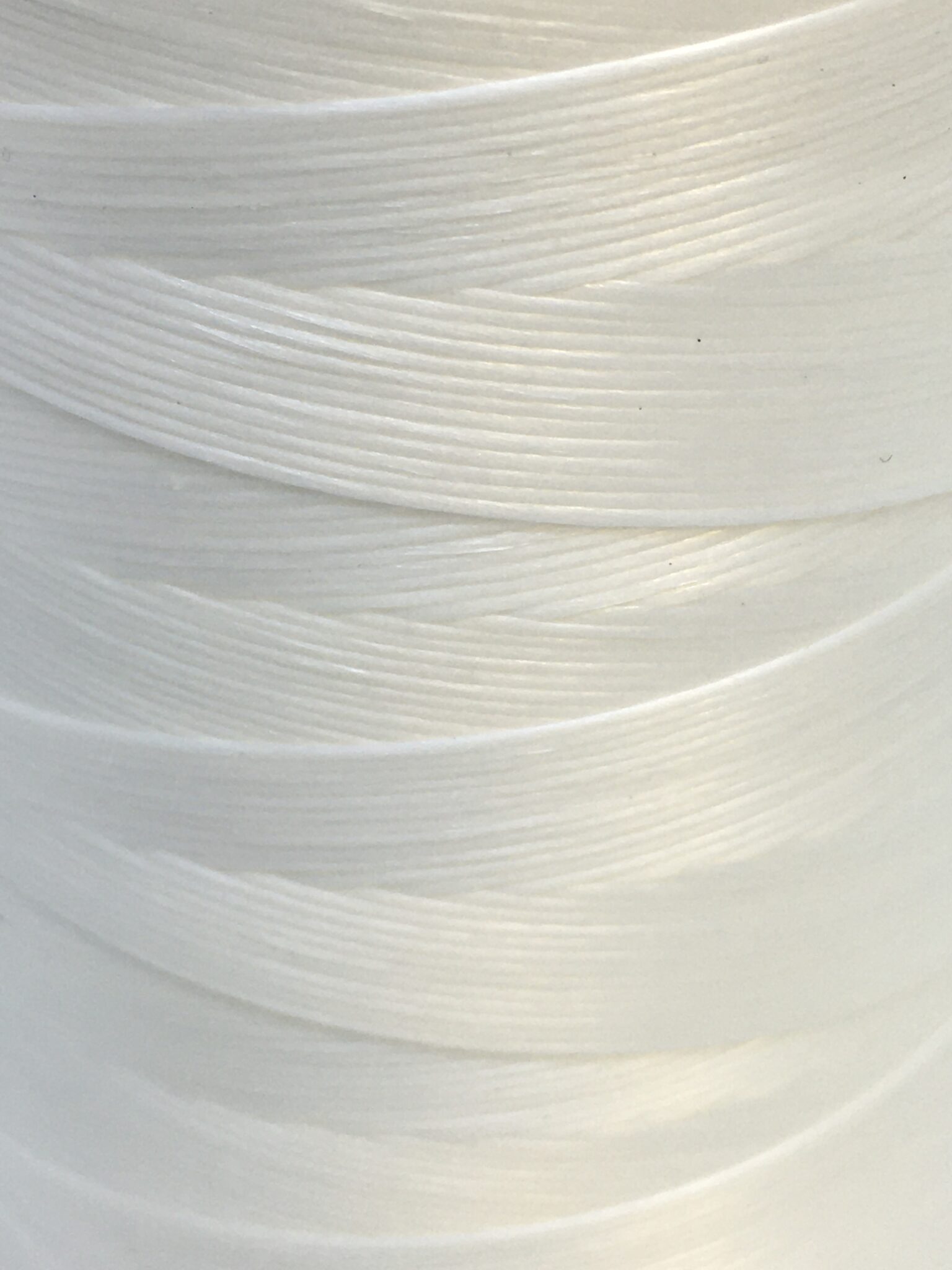 Supreme Edition Bloodline Glory Pro - Reign Bowstrings