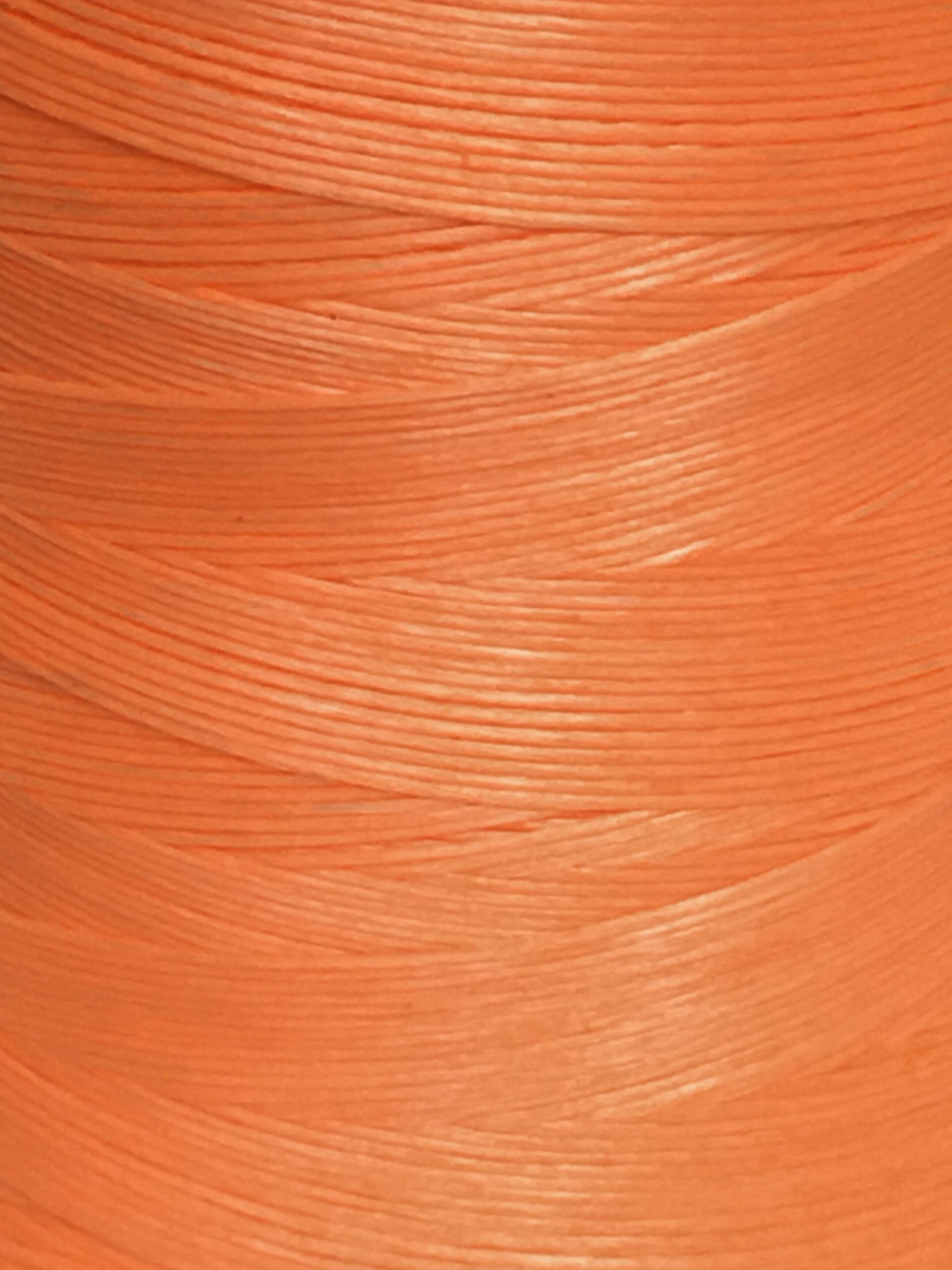 Supreme Edition Bloodline Glory Pro - Reign Bowstrings